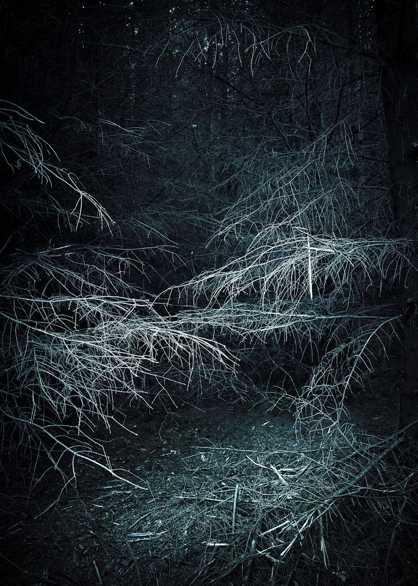 'Forest of Horror' Poster, picture, metal print, paint by Svetlana ...
