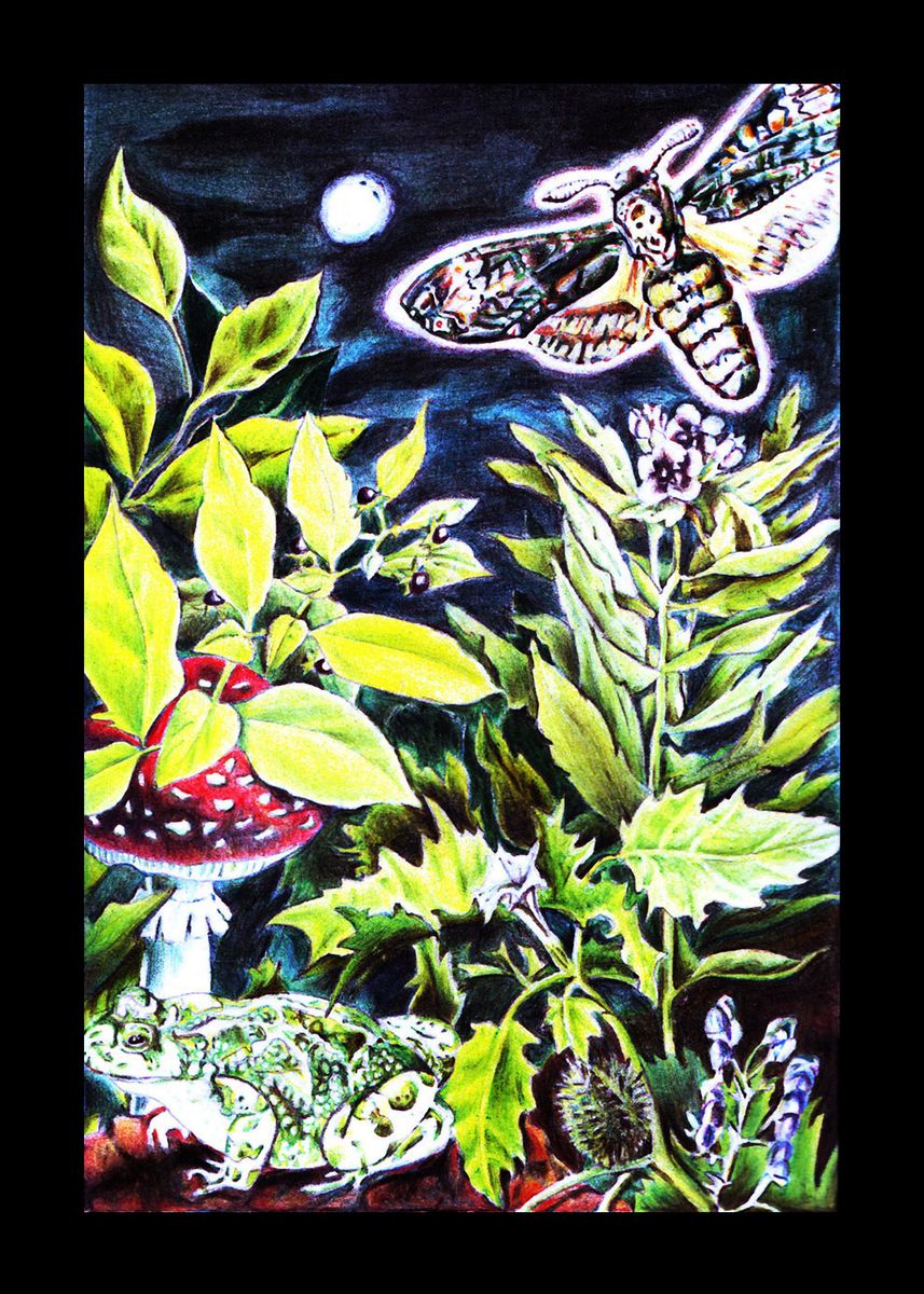 'Microcosmos' Poster, picture, metal print, paint by Alessandro ...