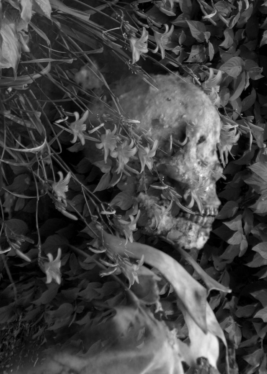 'Untitled' Poster, picture, metal print, paint by Gregory James Wyrick ...