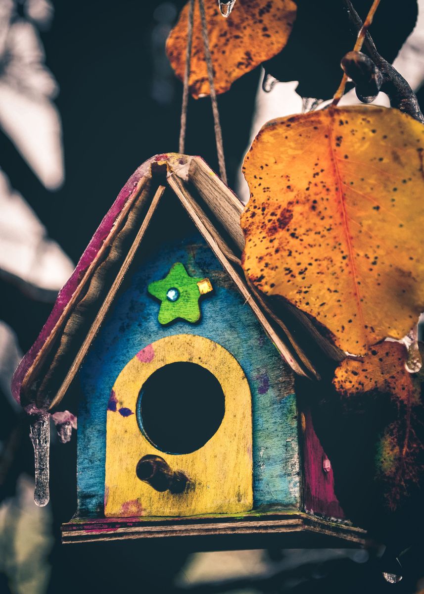 'Bird House' Poster, picture, metal print, paint by Brad Spencer | Displate