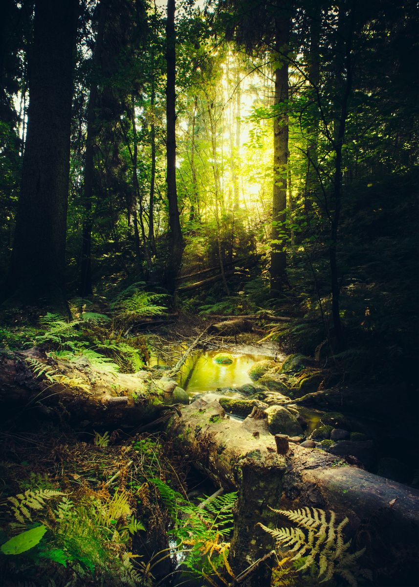 'Down the dark ravine' Poster, picture, metal print, paint by Ulf ...