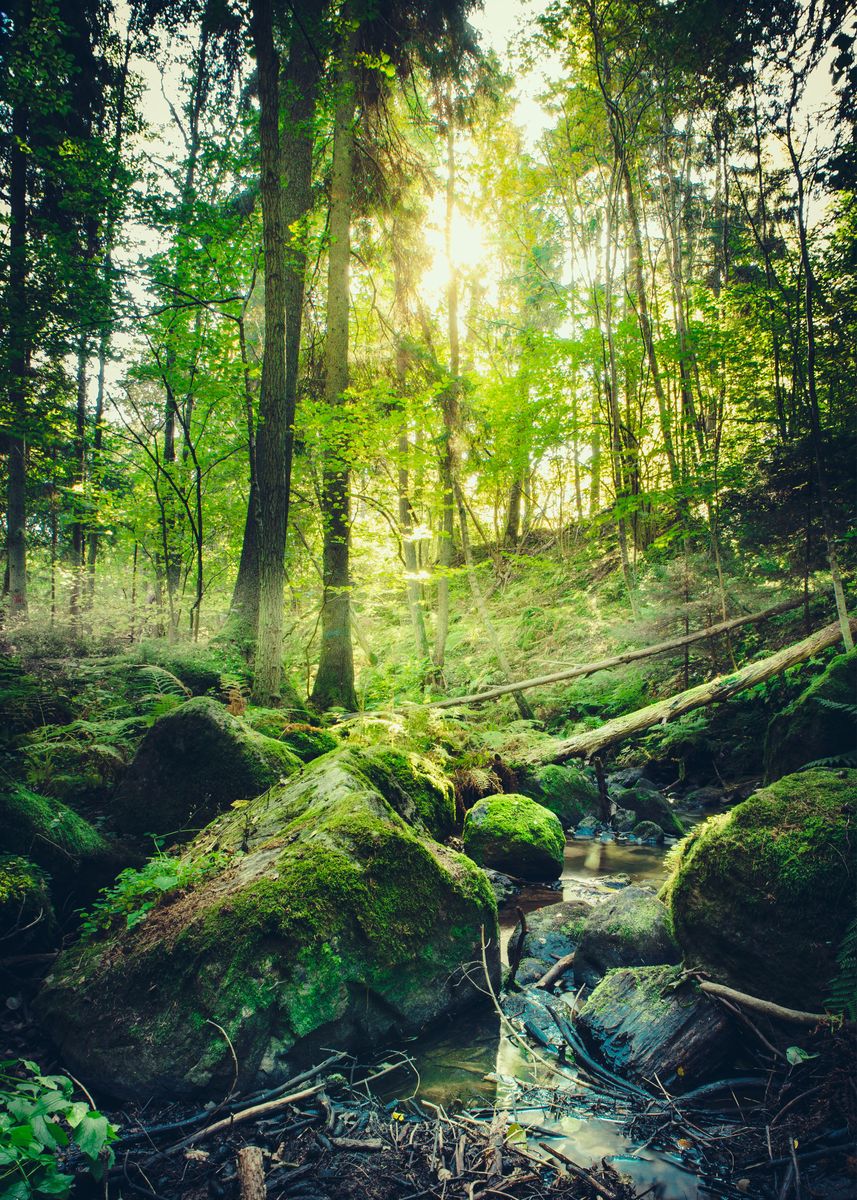 'Down the dark ravine 2' Poster, picture, metal print, paint by Ulf ...