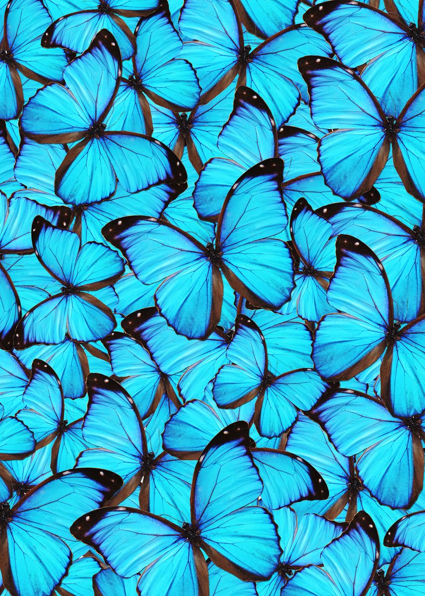 'Blue Butterflies' Poster, picture, metal print, paint by Emanuela ...