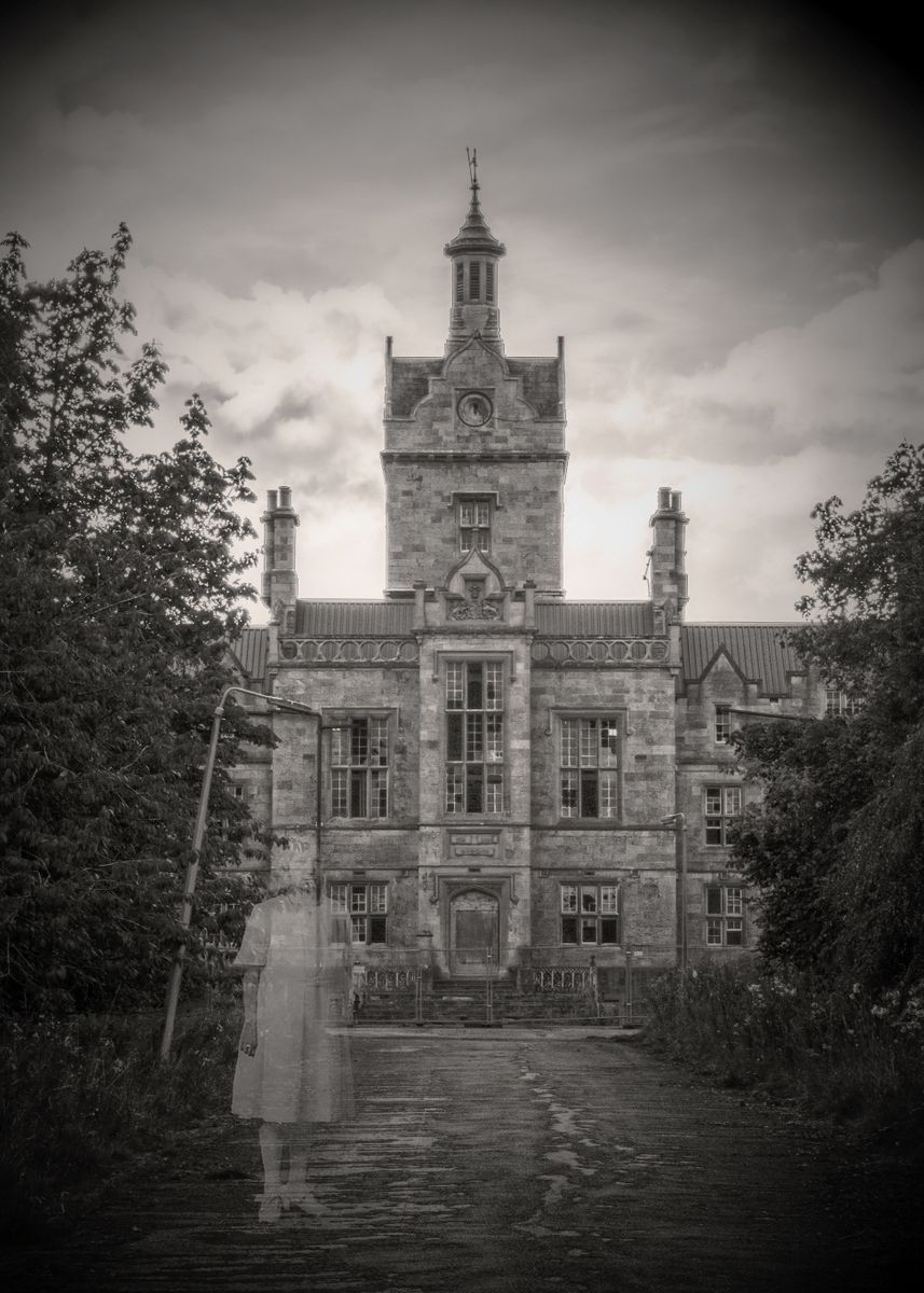 'Welcome to the Asylum' Poster, picture, metal print, paint by David ...