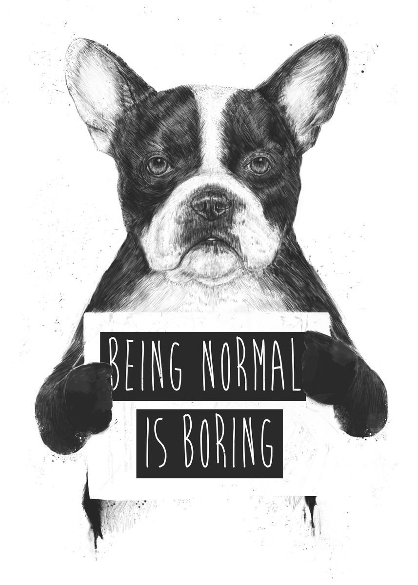 'Being normal is boring' Poster, picture, metal print, paint by Balazs ...