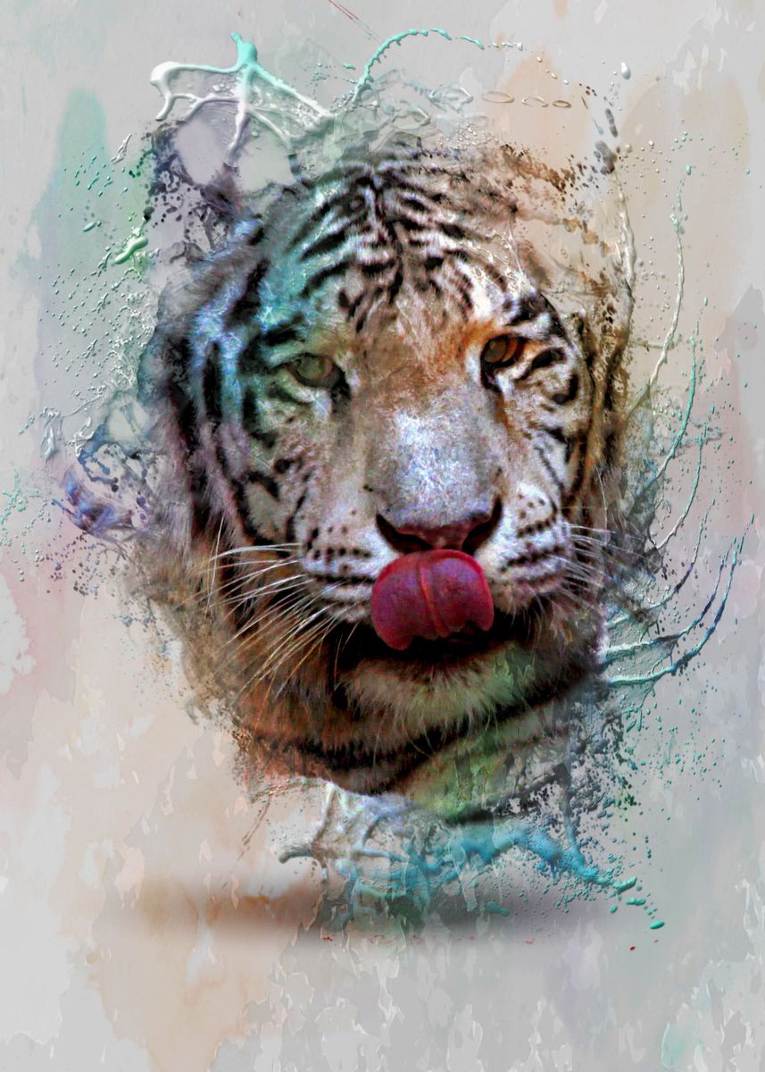 'White Tiger in Water Color Splash' Poster, picture, metal print, paint ...
