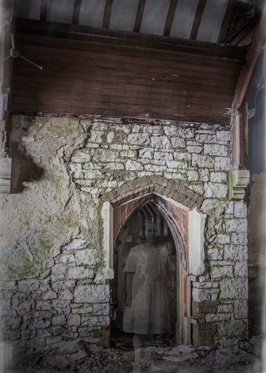 'A Ghost in the Machine' Poster, picture, metal print, paint by David ...