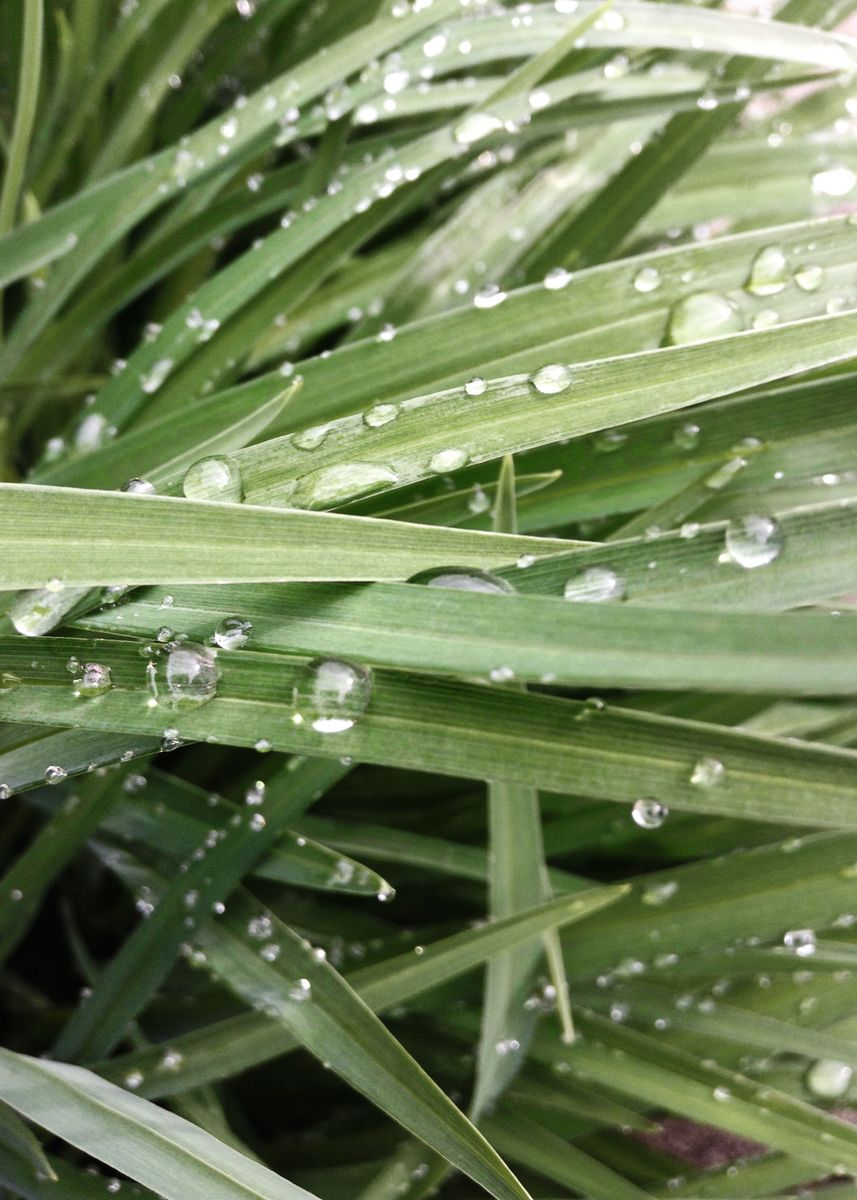 'Droplets' Poster by Kyle Ferguson | Displate