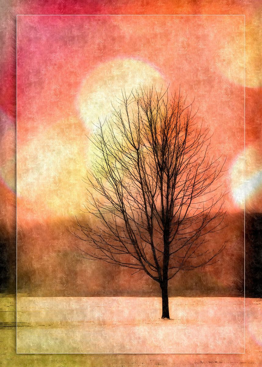 'Tree Light' Poster, picture, metal print, paint by David Kuhn | Displate