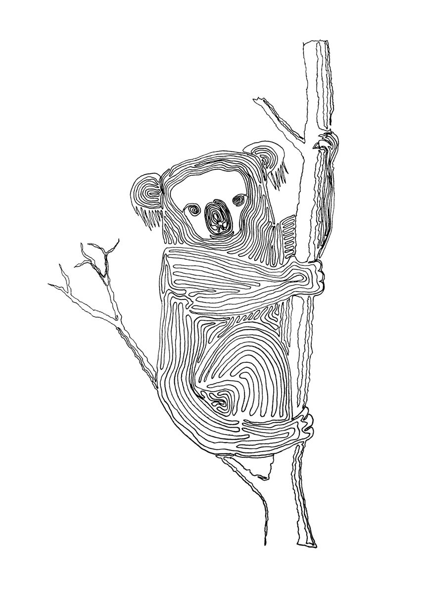 'Koala - Drawing with One Line Line begins at the top of ... ' Poster ...
