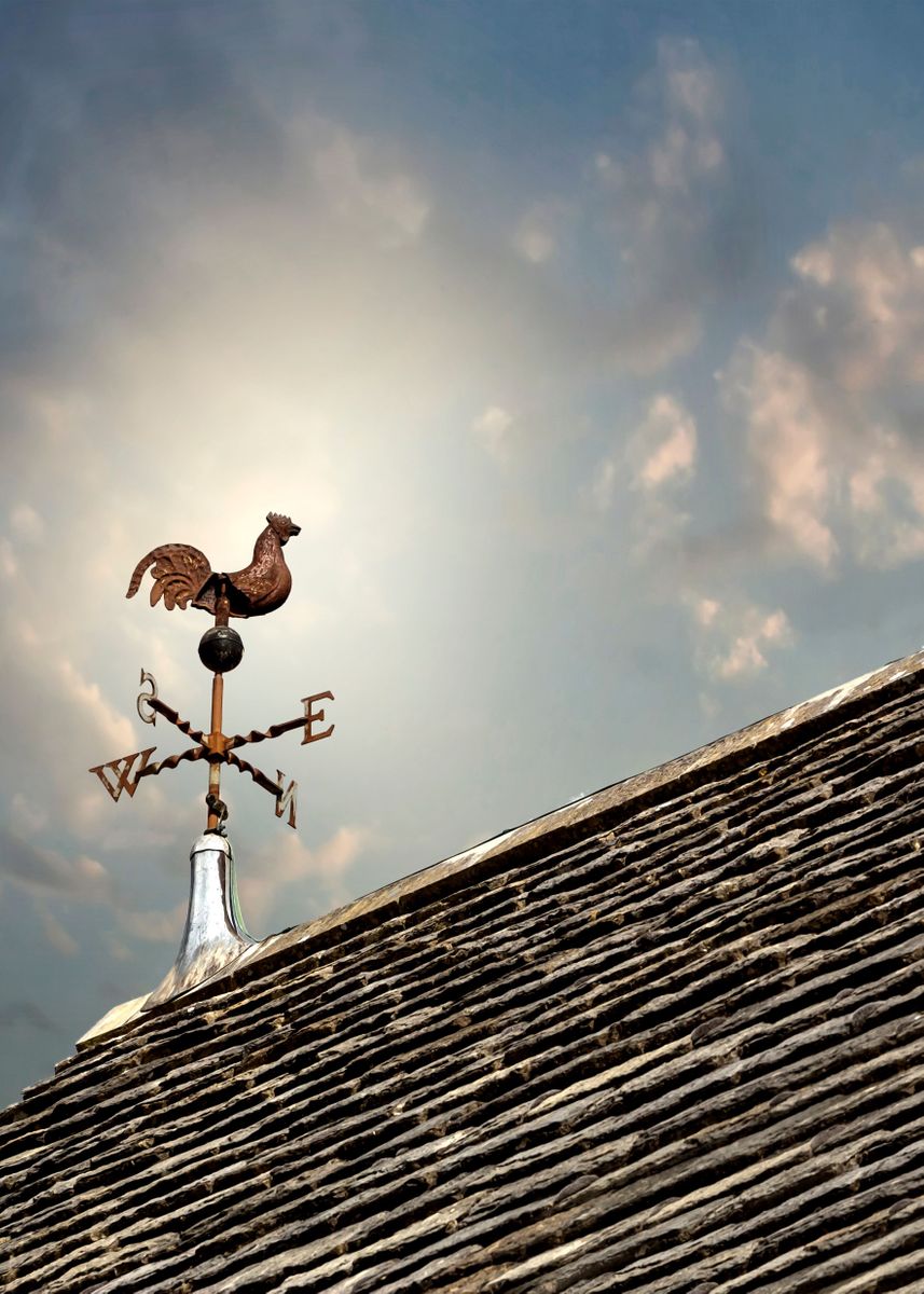 'weathercock' Poster by Joana Kruse | Displate