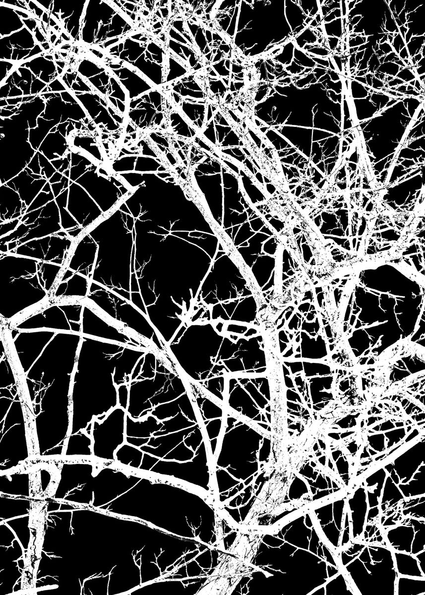 'Female Logic Made Simple' Poster by Art Ofphotos | Displate