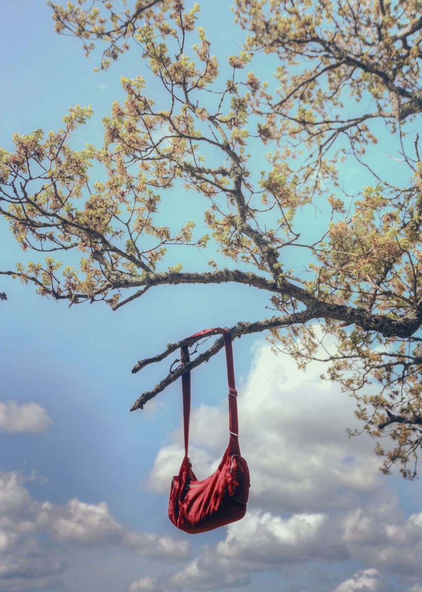 'red bag' Poster, picture, metal print, paint by Joana Kruse | Displate