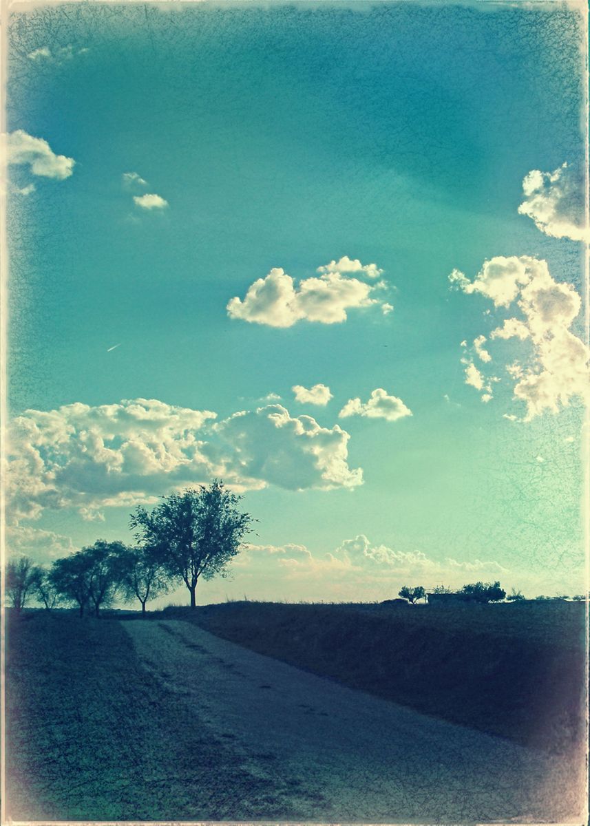 'Daydream' Poster, picture, metal print, paint by Eva Nev | Displate