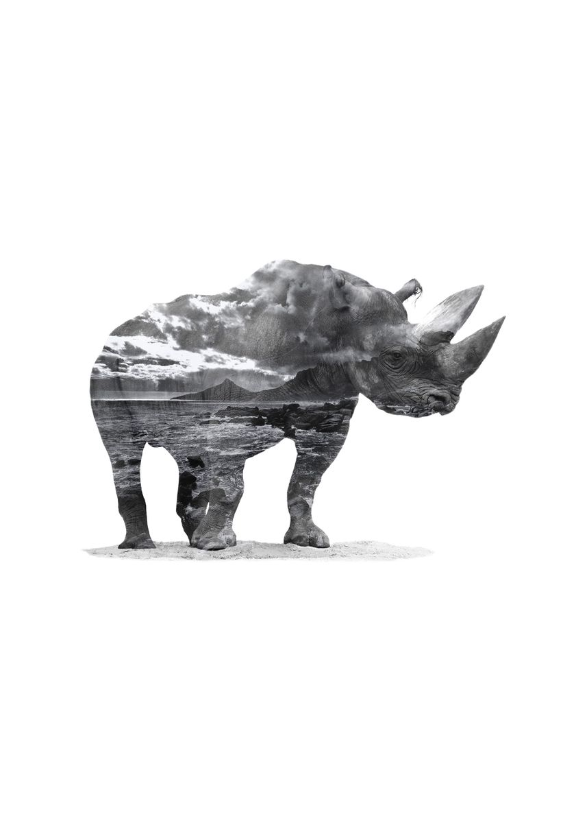 'Rhino' Poster by Daniel Bloch | Displate