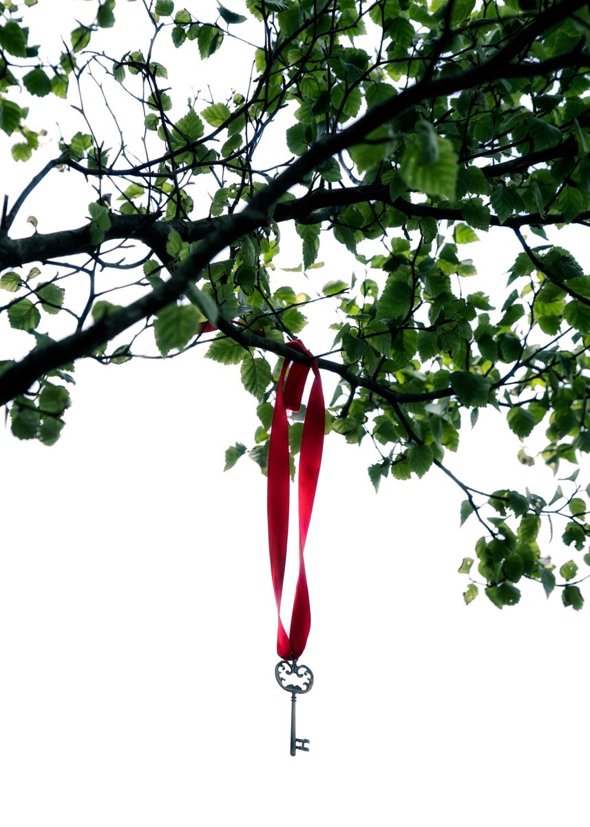 'secret key' Poster by Joana Kruse | Displate