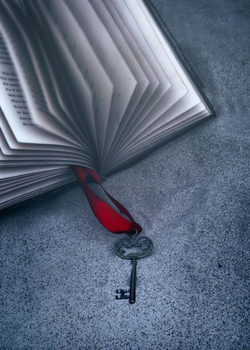 'secret book' Poster, picture, metal print, paint by Joana Kruse | Displate