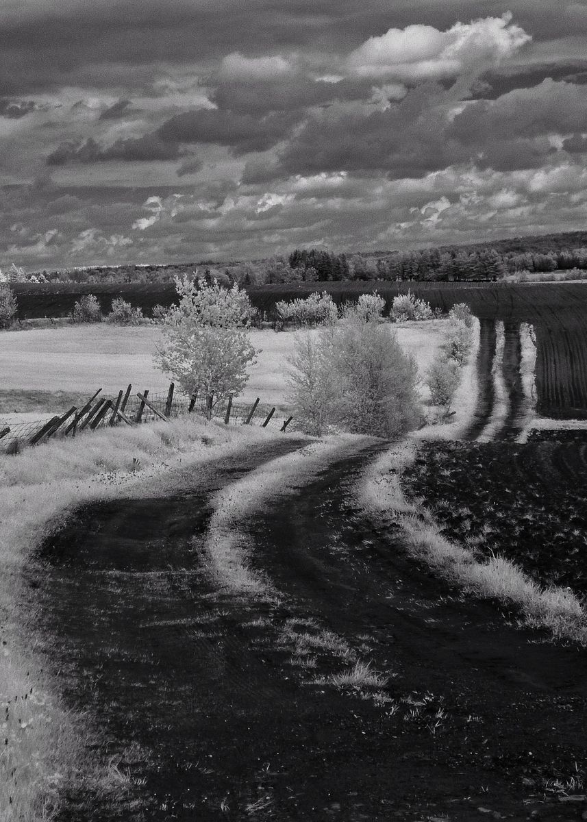 'Land' Poster by jfdupuis Dupuis | Displate