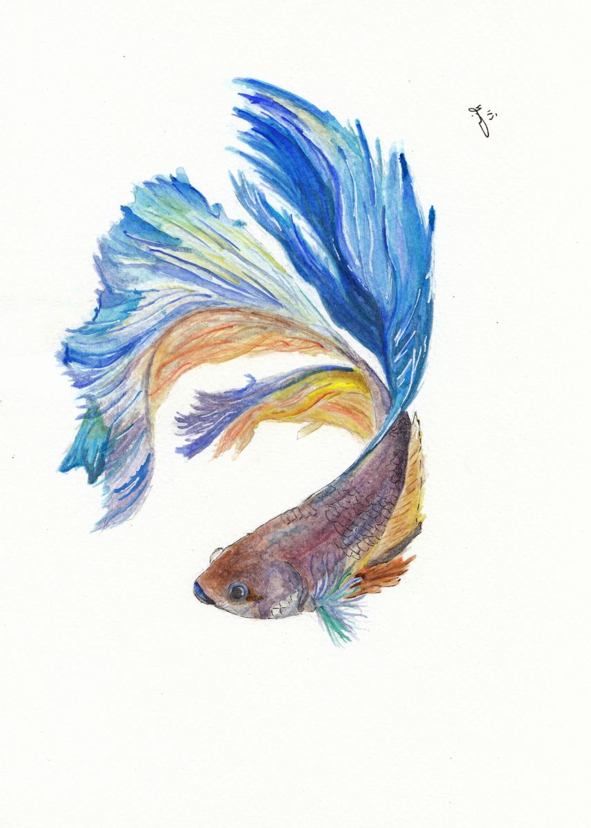 'Fighting Fish' Poster, picture, metal print, paint by Stephanie Hew ...