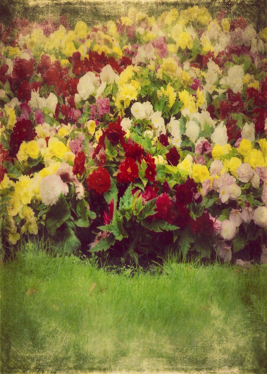 'Vintage Pretty Garden' Poster by Victoria Herrera | Displate