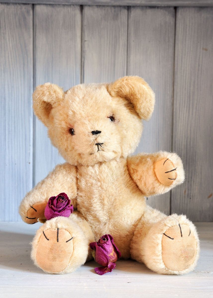 'Toy Bear' Poster, picture, metal print, paint by Anki Hoglund | Displate