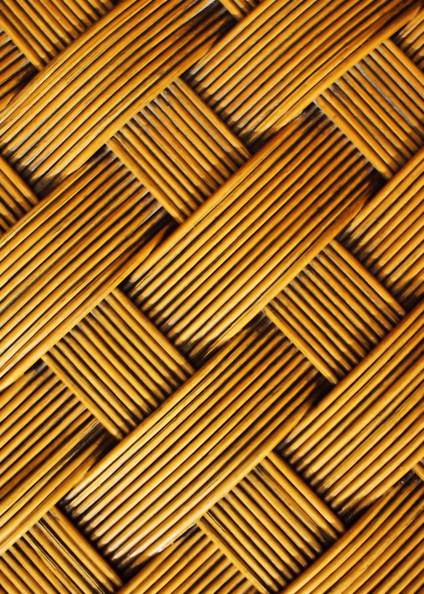 'The Weave' Poster by brian raggatt | Displate