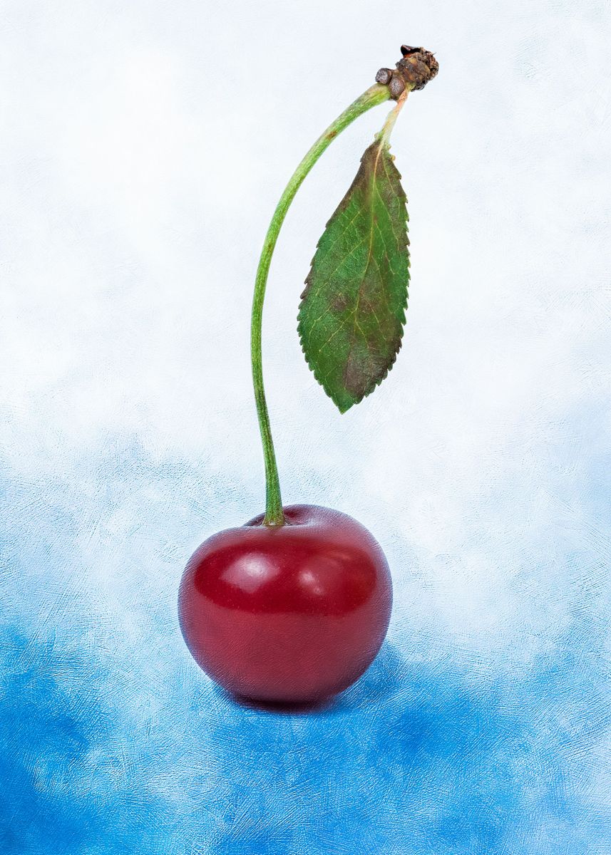 'One Red Cherry' Poster, picture, metal print, paint by Art Ofphotos ...