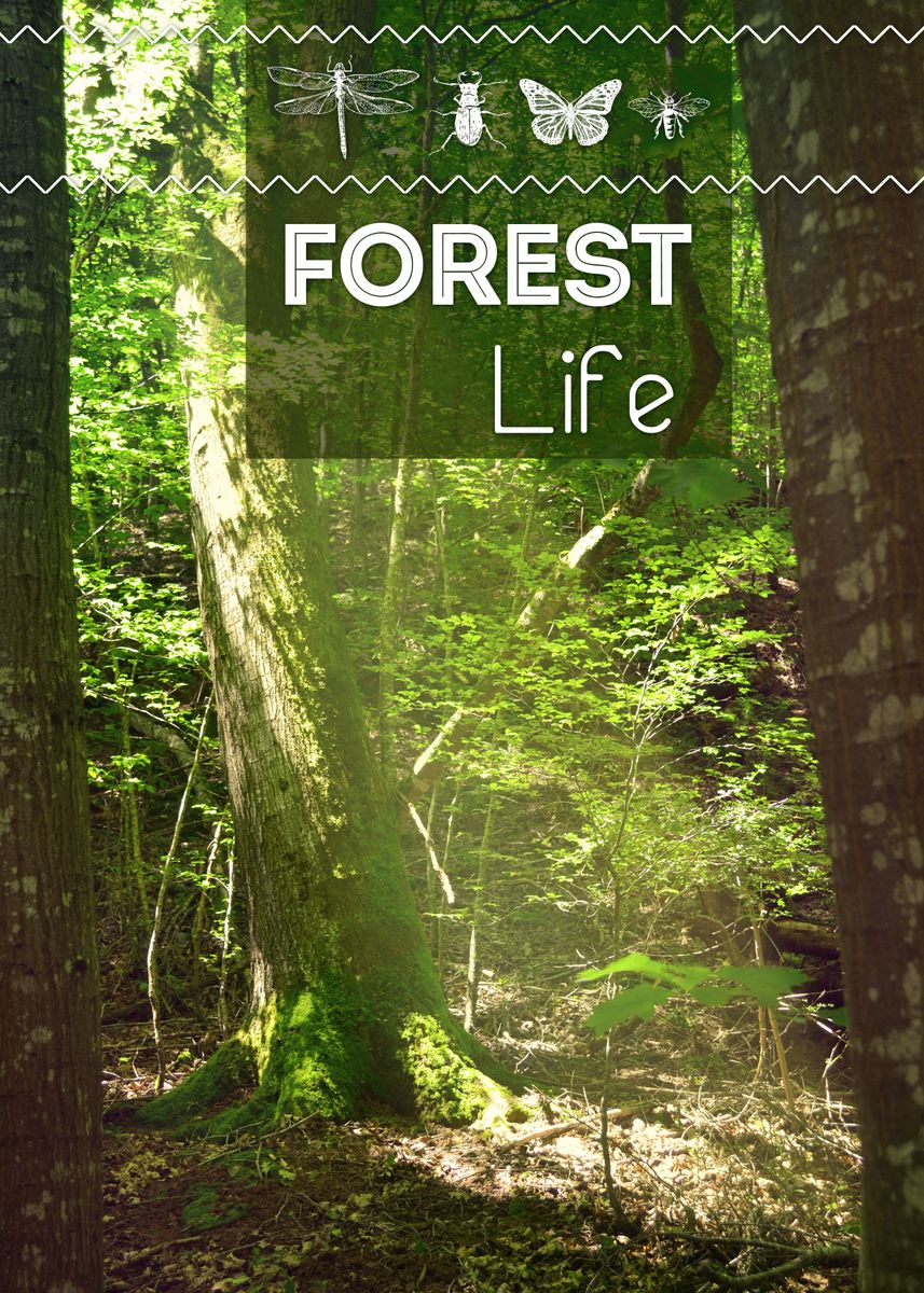 'FOREST Life' Poster, picture, metal print, paint by Jaume Bitterhoff ...