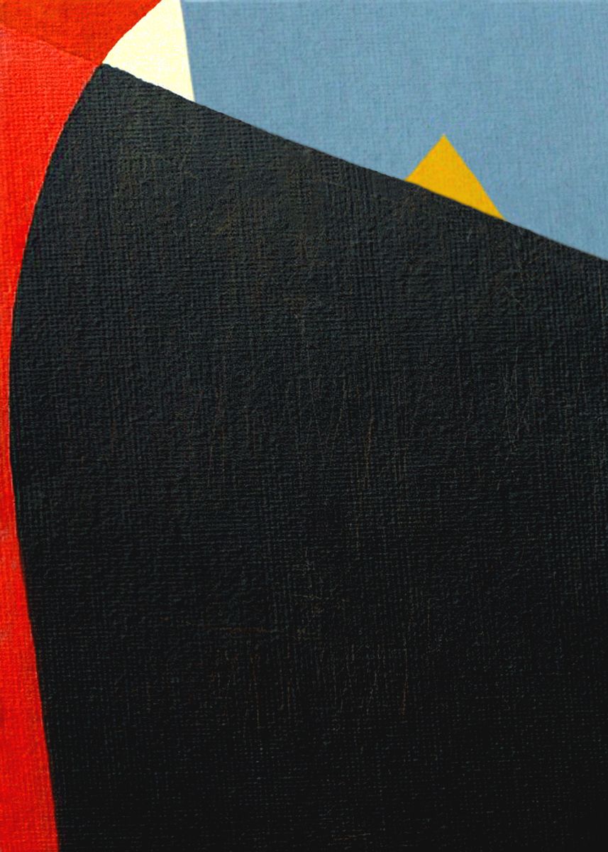 'The Black Rhino' Poster by Fernando Vieira | Displate