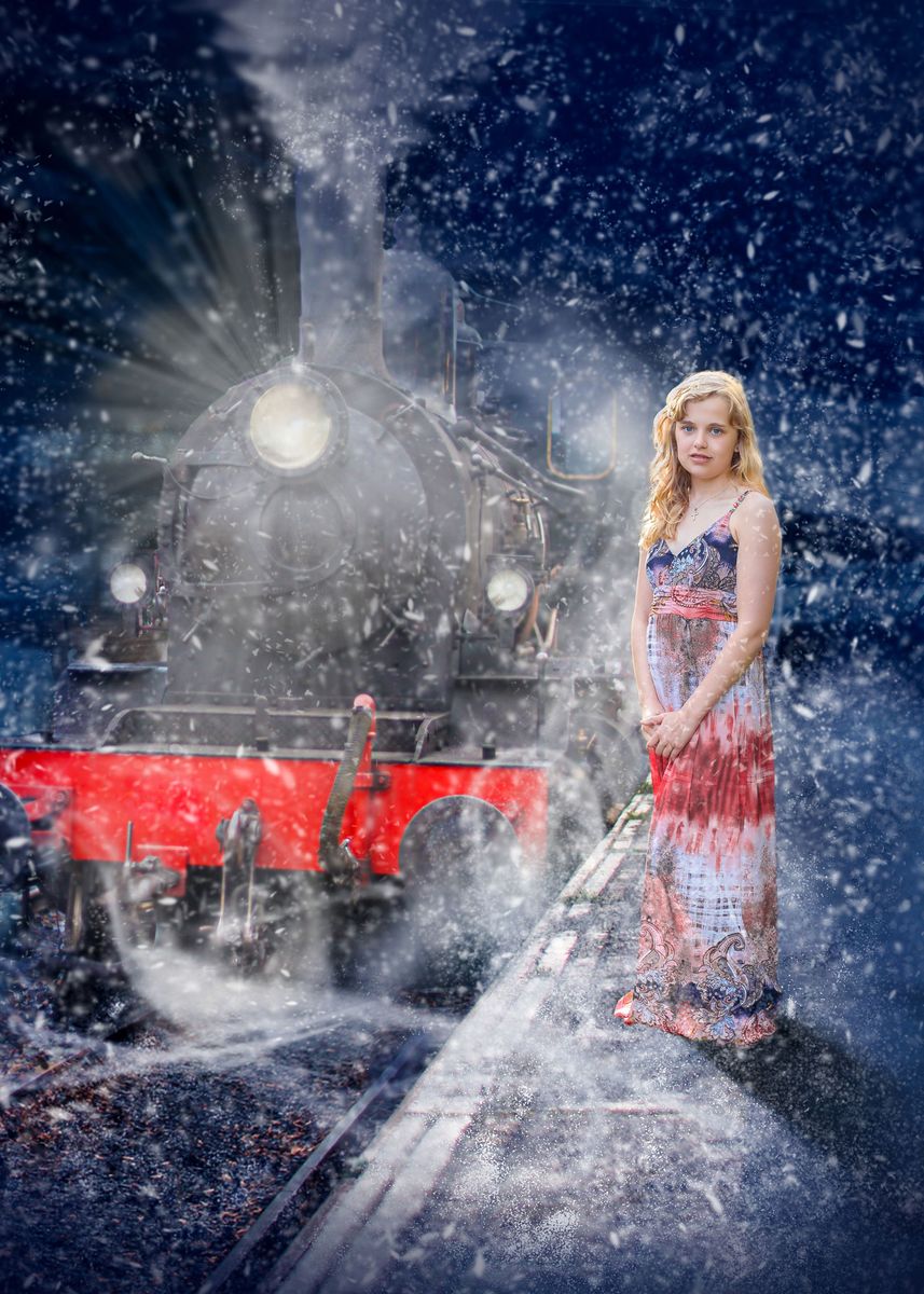 'Snow Express' Poster, picture, metal print, paint by Imelda Bell ...