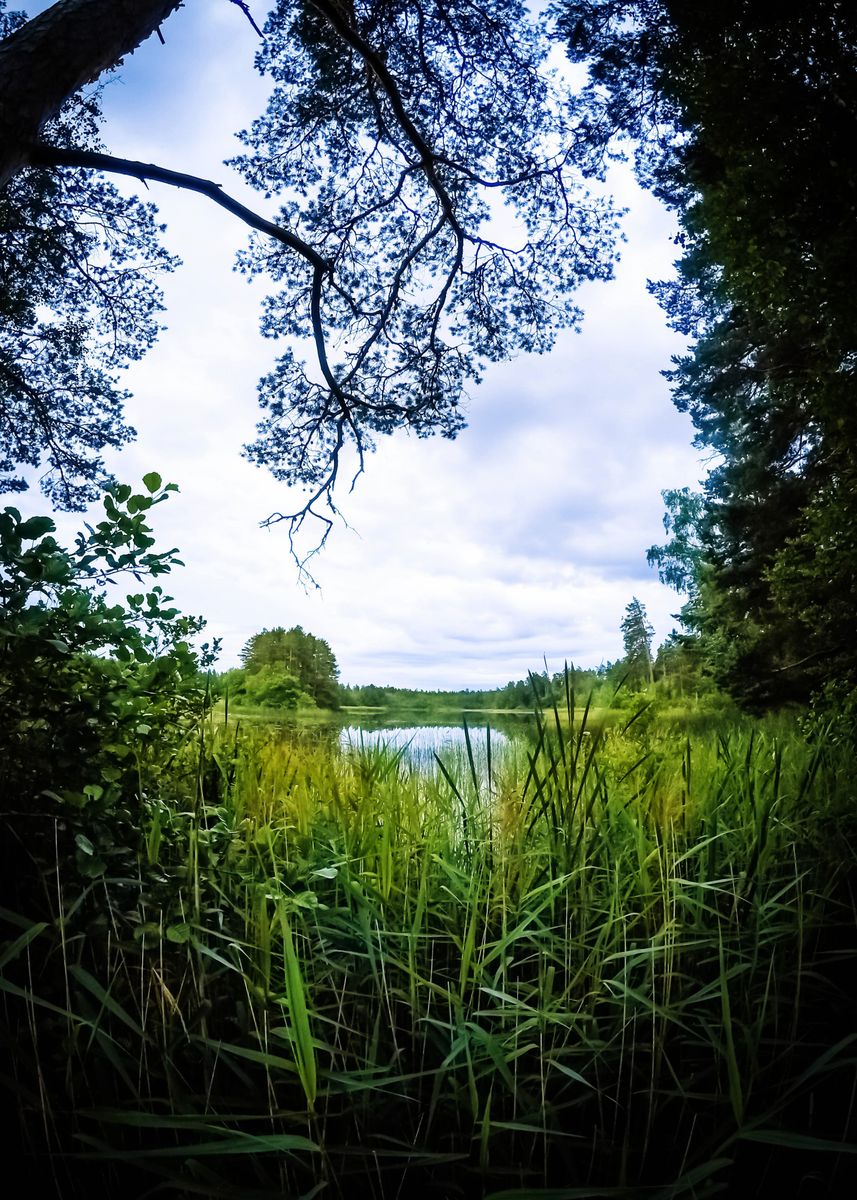 'Lake View' Poster, picture, metal print, paint by Nicklas Gustafsson ...