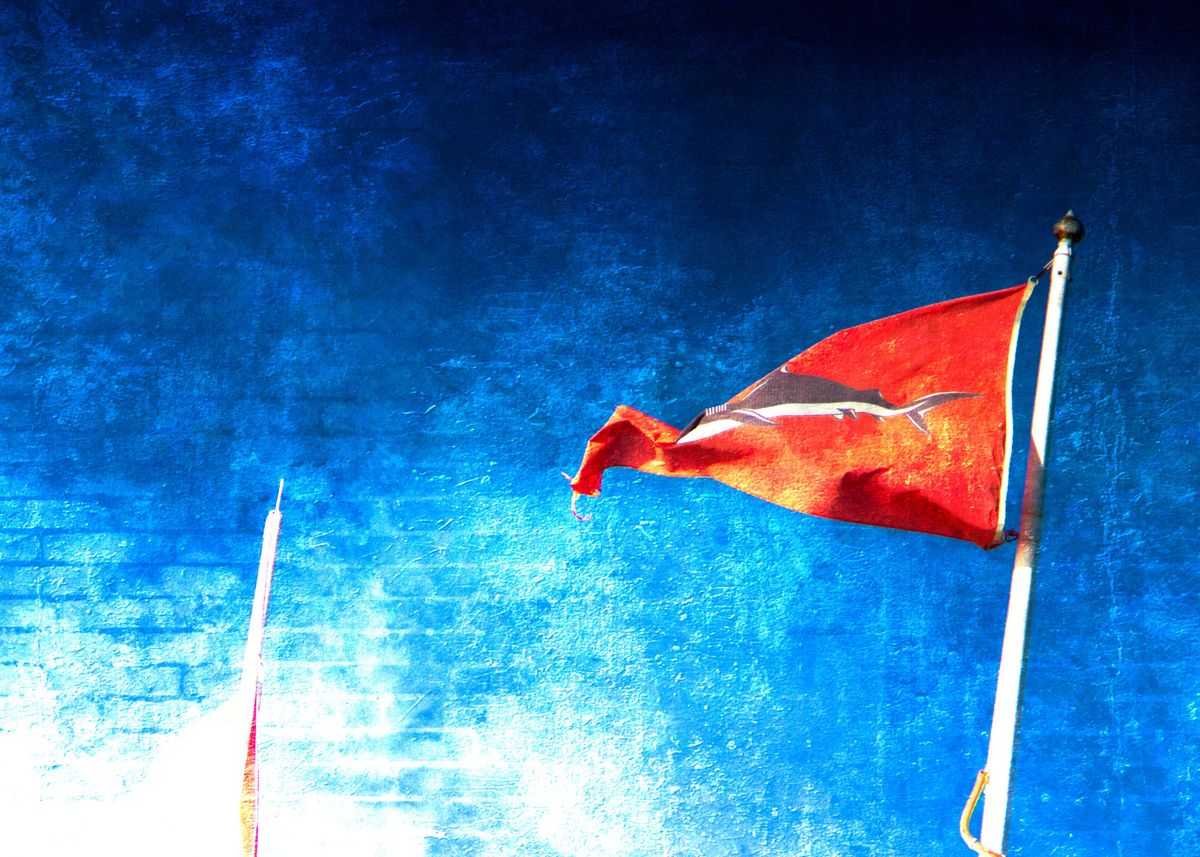 'Shark Flag' Poster by Arezki Chougar | Displate