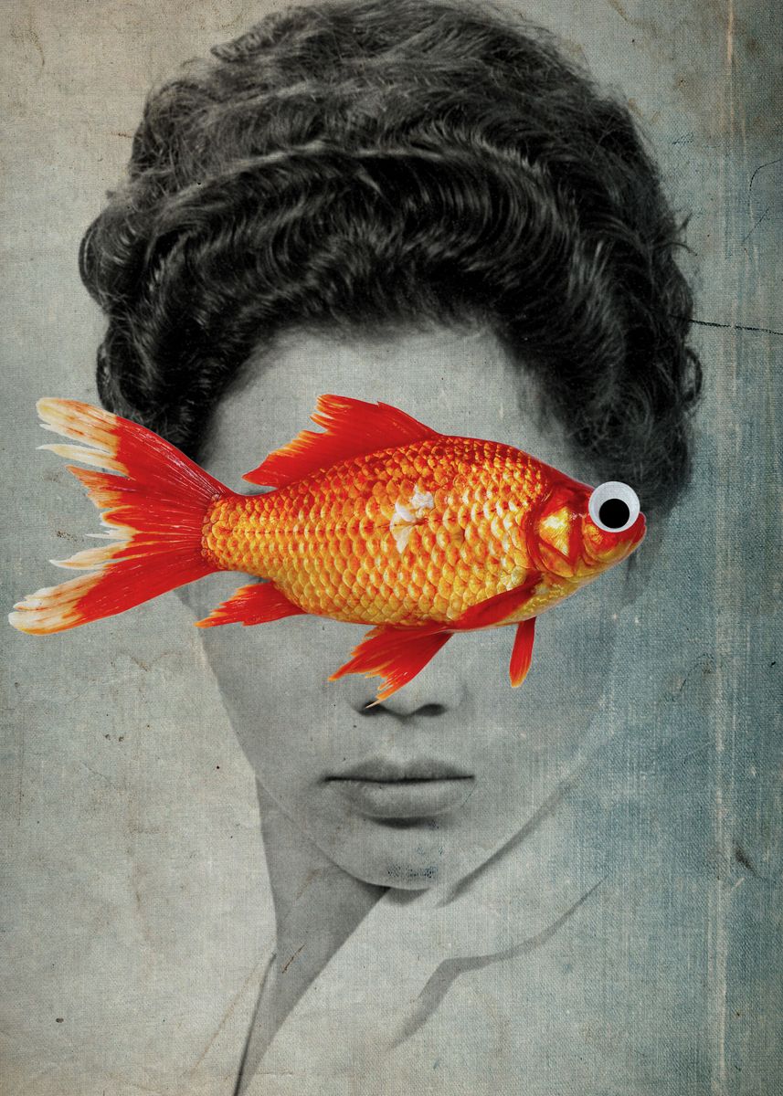 'Fish Eye' Poster, picture, metal print, paint by elo marc | Displate