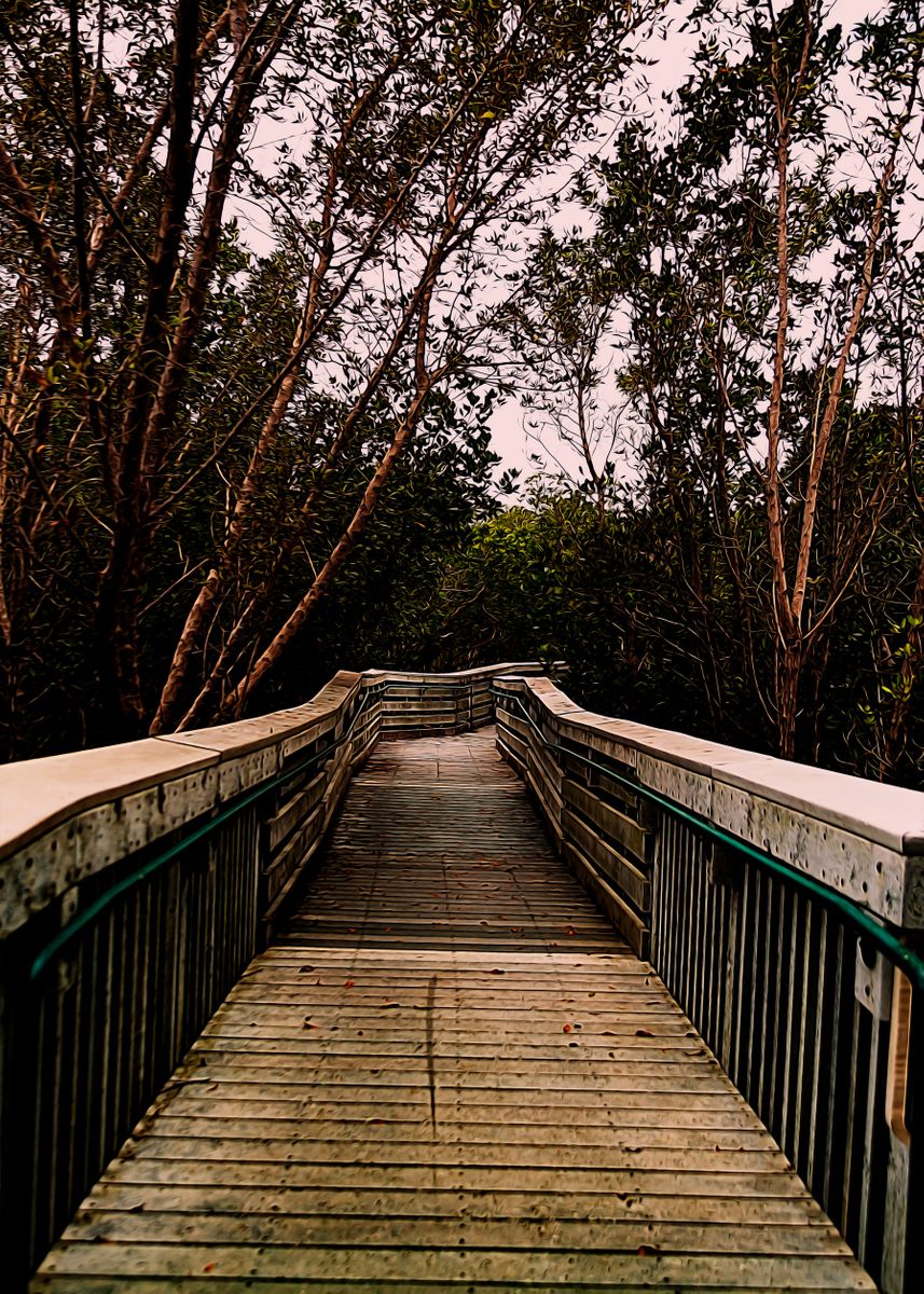 'Lead the way' Poster, picture, metal print, paint by Francisco Colon ...