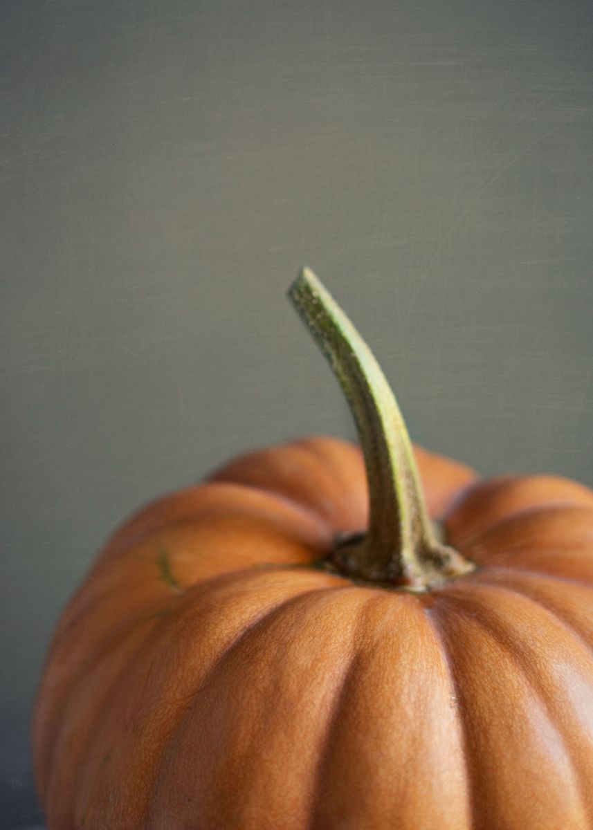 'A detail of pumpink' Poster, picture, metal print, paint by Donatella ...