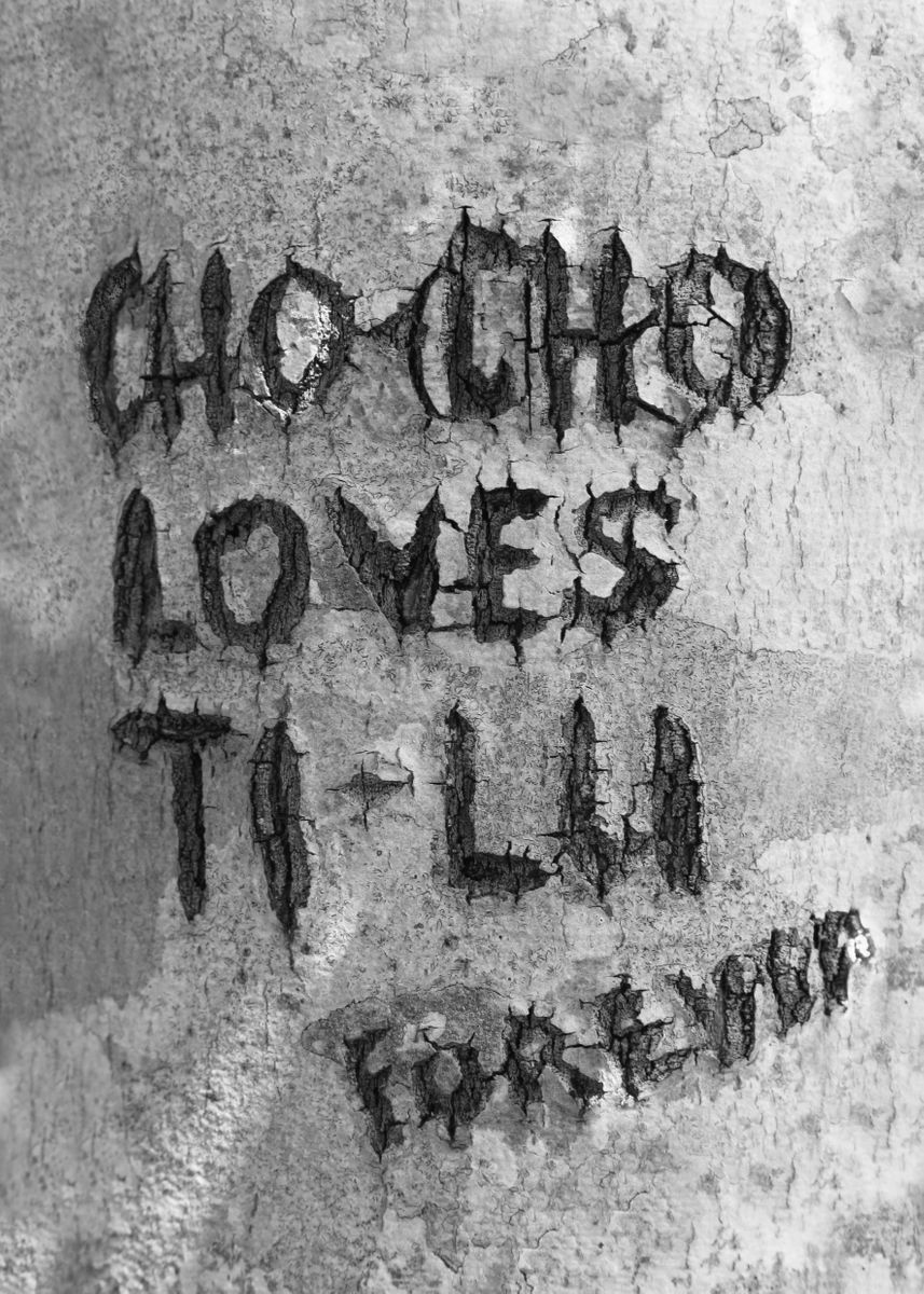 'Tree Graffiti I discovered in Cape Cod finished in blac ... ' Poster ...