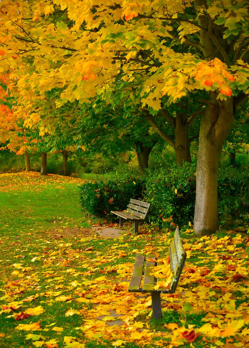 'Under an Autumn Tree' Poster by Svetlana Sewell | Displate