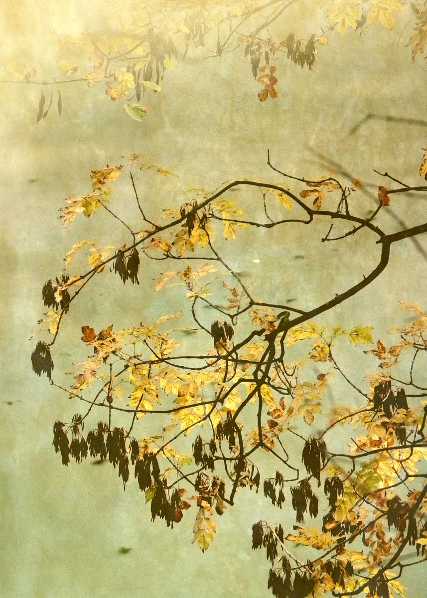 'Golden Branch' Poster, picture, metal print, paint by aRT sKRATCHES ...