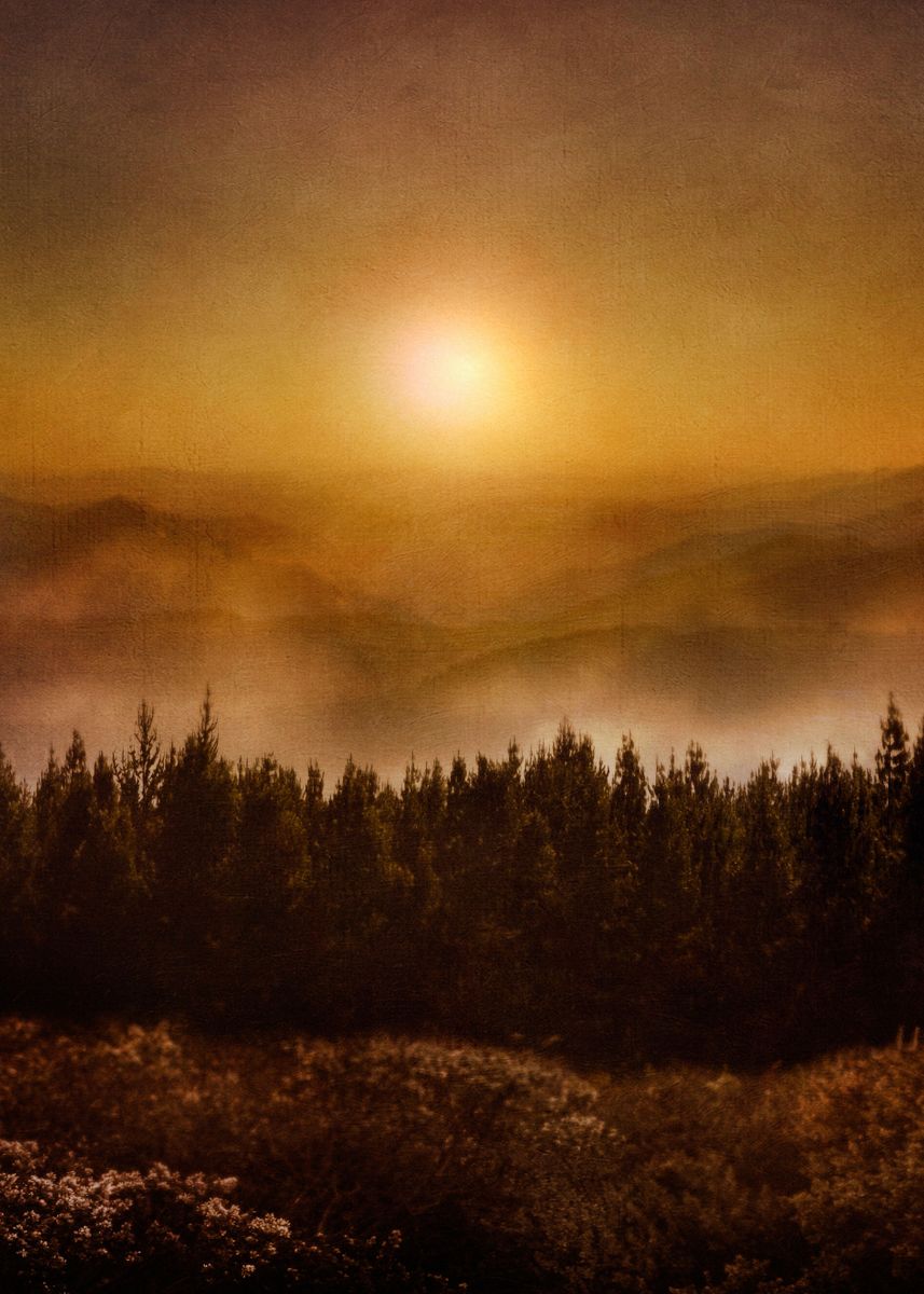 'The Awakening' Poster, picture, metal print, paint by Viviana Gonzalez ...