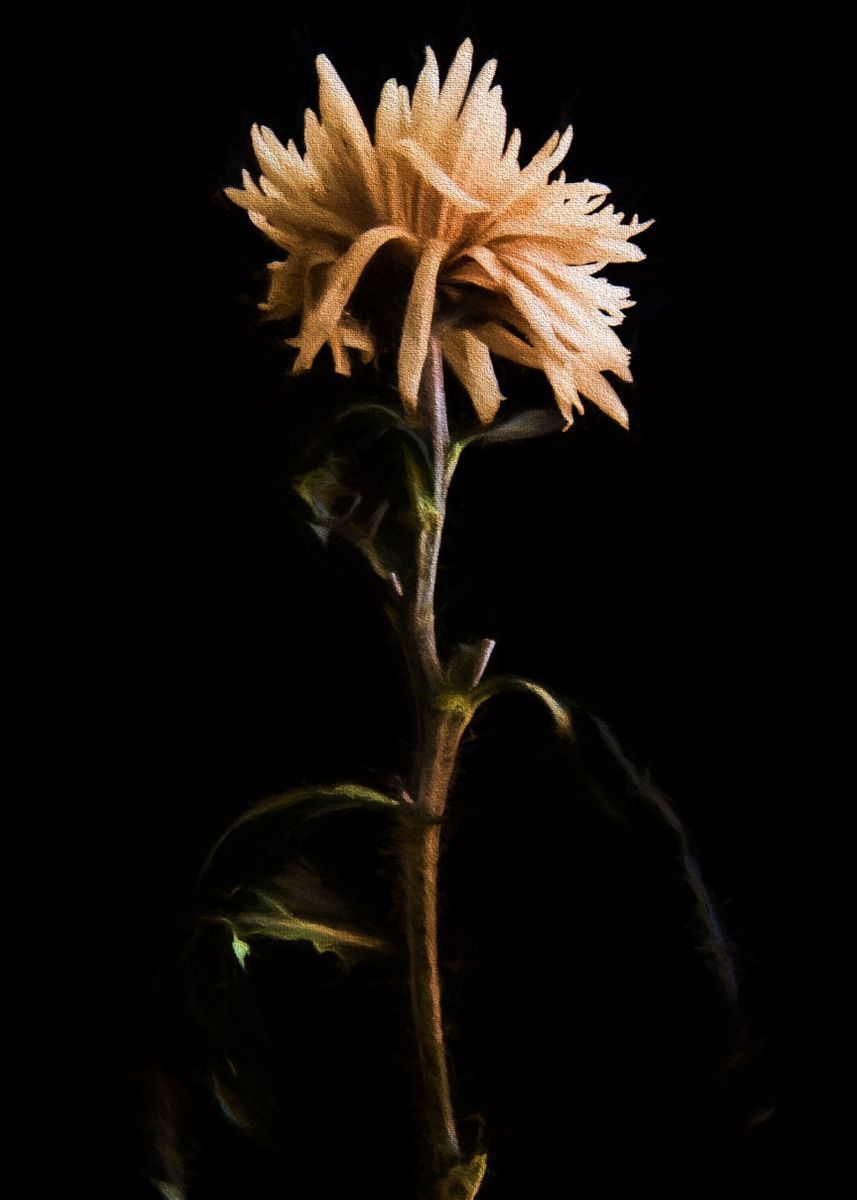 'Untitled II' Poster by FADE OUT PRINTS | Displate