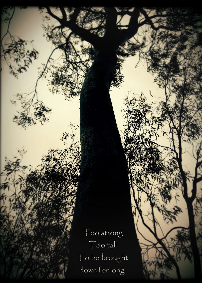 'Embodiment of Strength' Poster by Andy Pandy | Displate