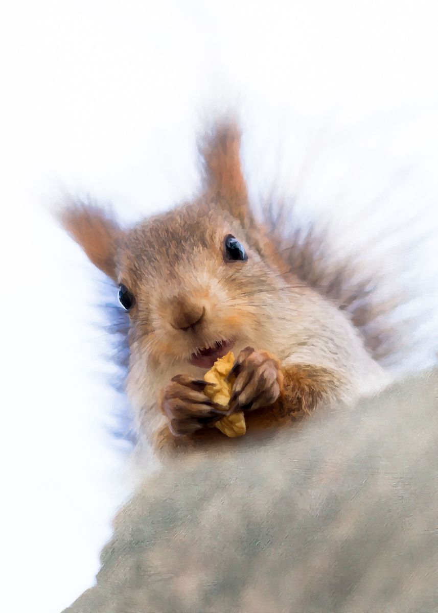'Eat First, Talk Later' Poster by Art Ofphotos | Displate