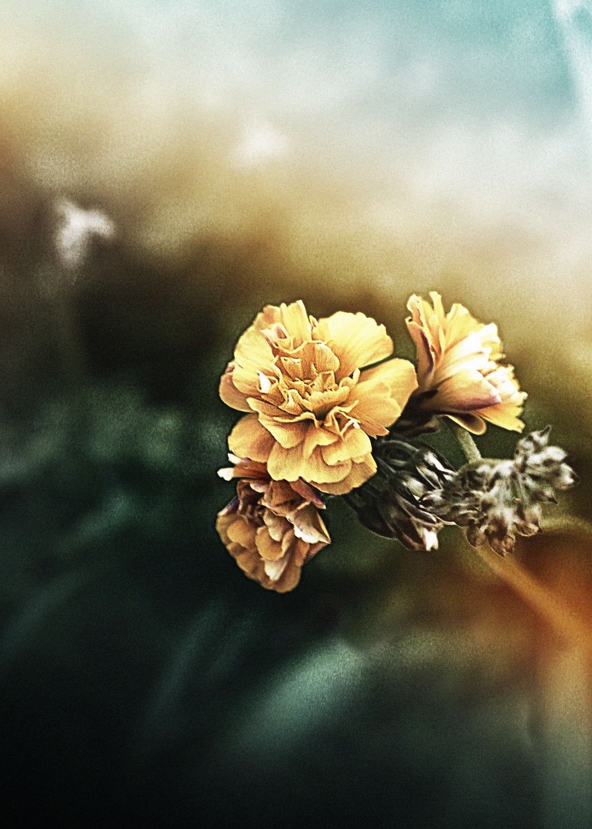 'The tale of a warm winter day' Poster, picture, metal print, paint by ...