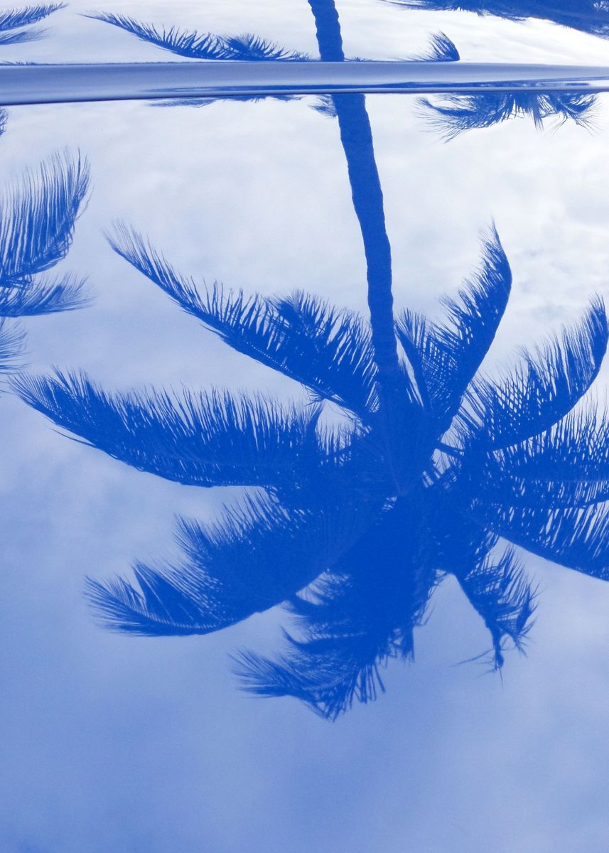 'Blue Reflection' Poster, picture, metal print, paint by Rosie Brown ...