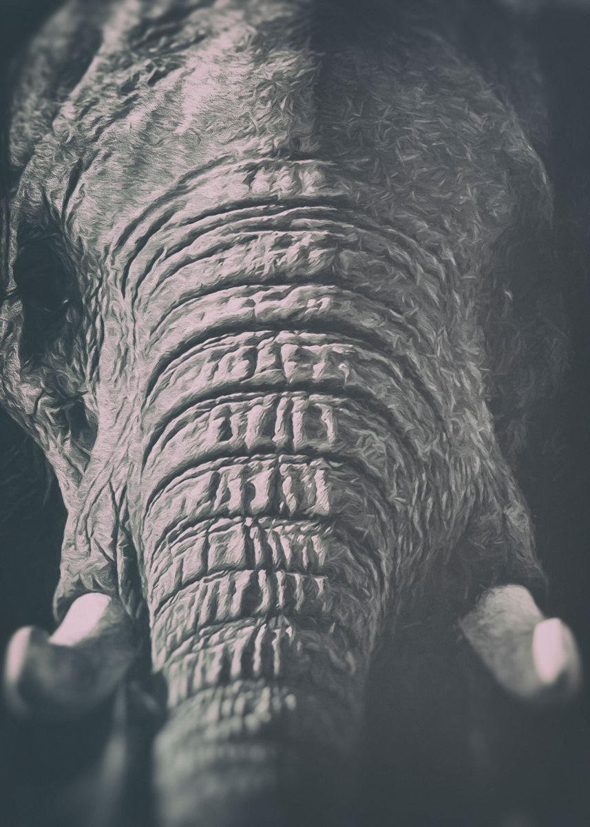 'African Elephant' Poster by FADE OUT PRINTS | Displate