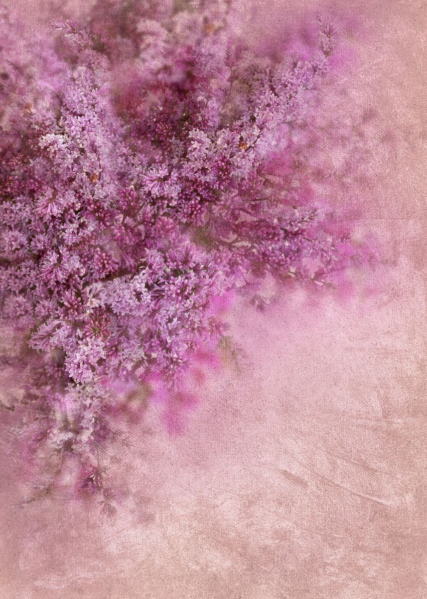 'Lilly ' Poster by Svetlana Sewell | Displate