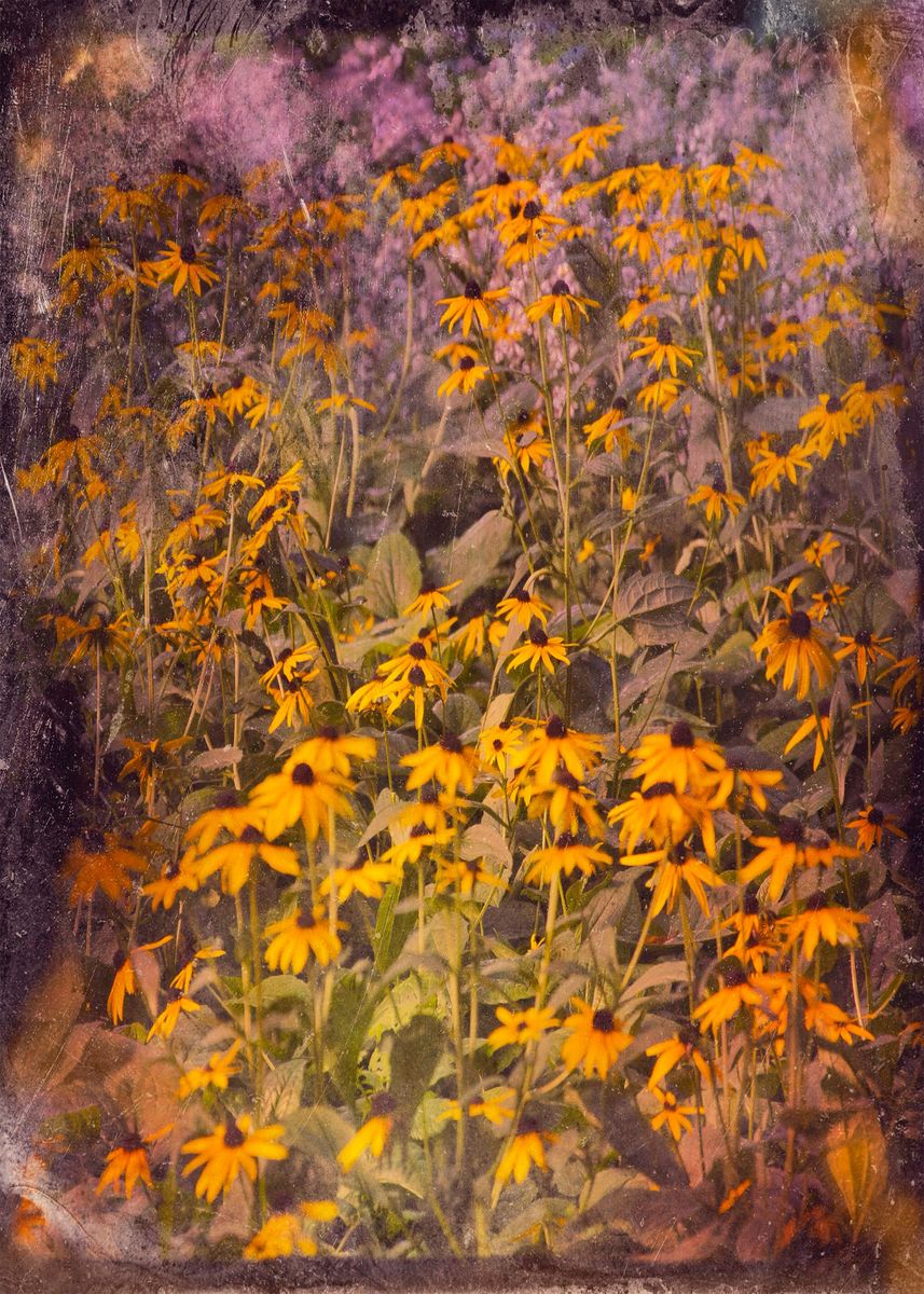 'Color photograph 'Yellow Jungle'' Poster, picture, metal print, paint ...