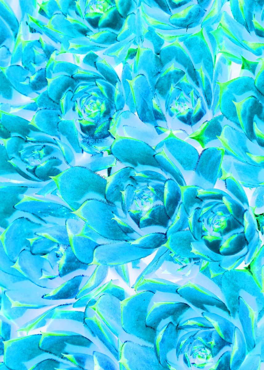 'Rosetta' Poster, picture, metal print, paint by aRT sKRATCHES | Displate