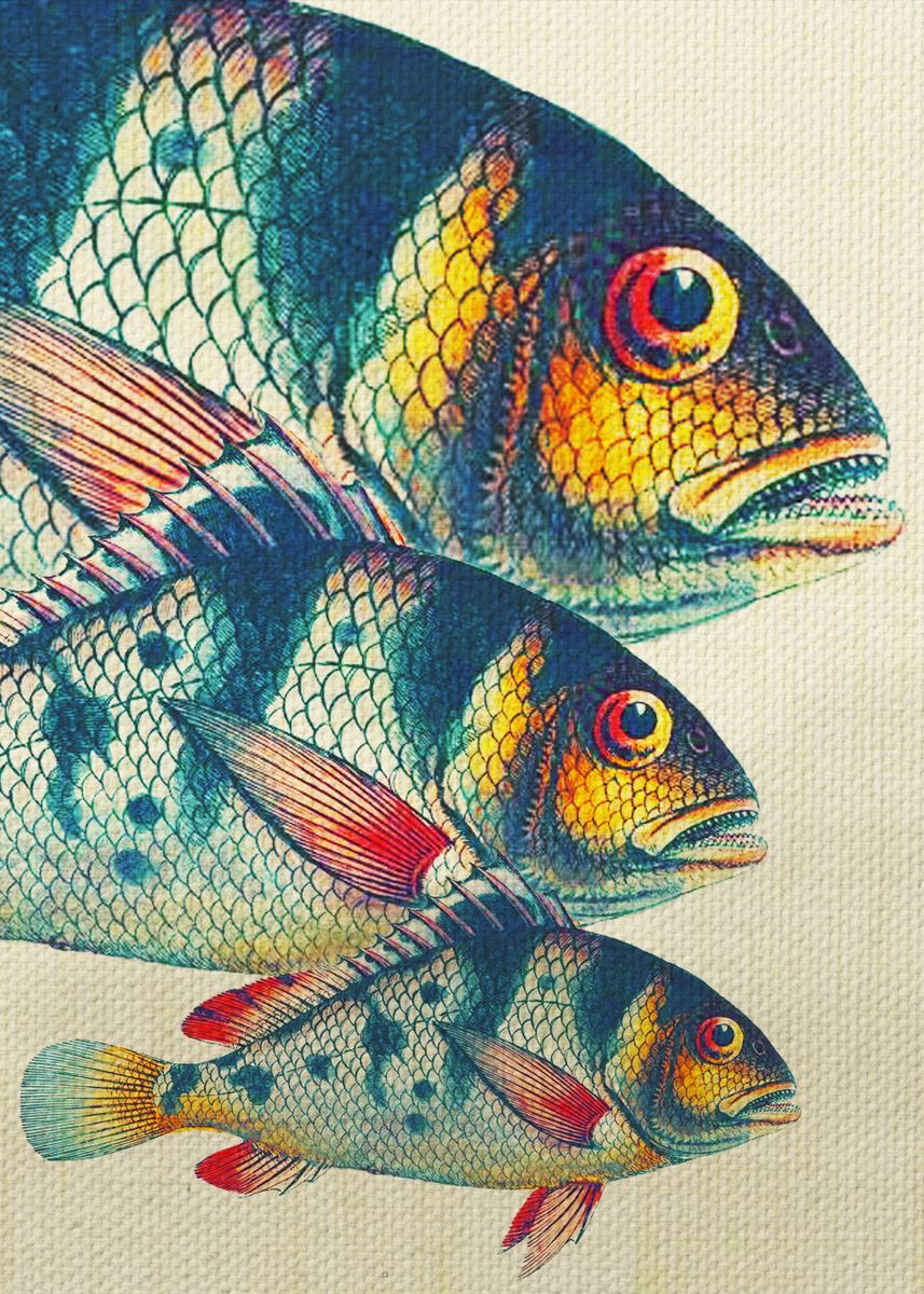 'Fish Classic Designs 3' Poster, picture, metal print, paint by ...