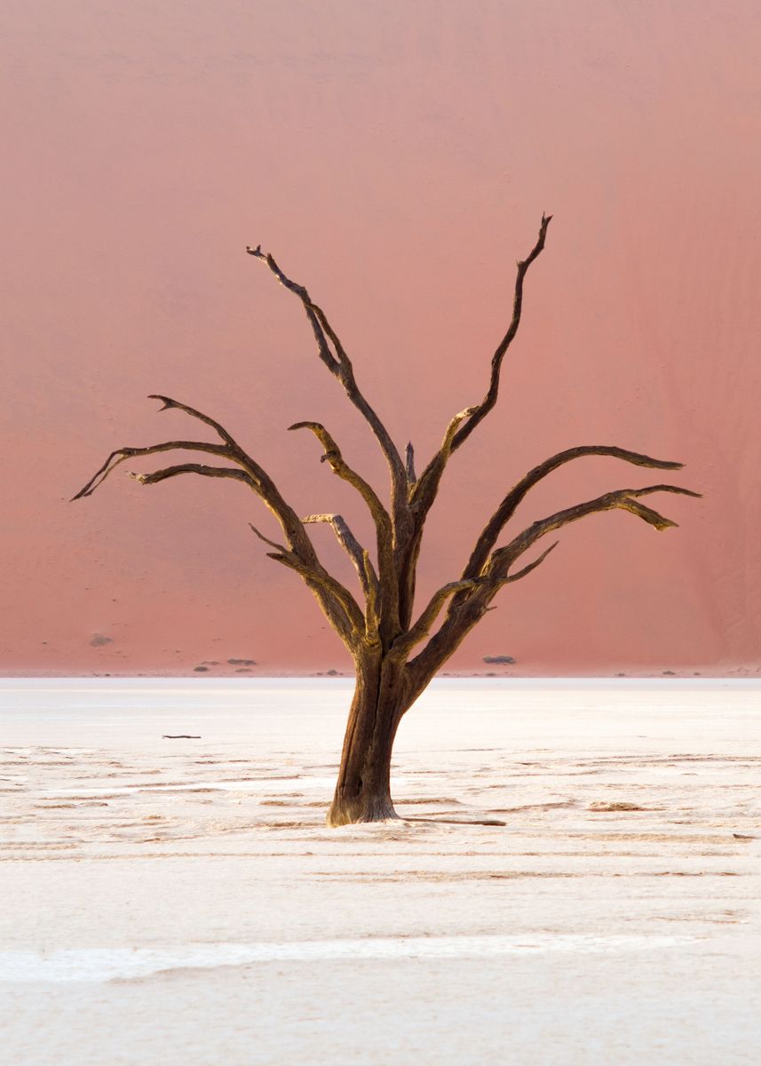 'Deadvlei (Namibia)' Poster by Peter Banny | Displate